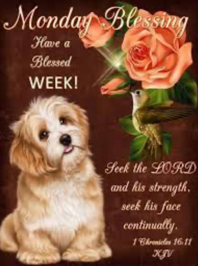 The First Monday Of 2025! | Center for Evangelists